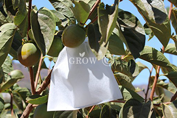 Quality Orange Growing Bags Manufacturer and Supplier from China | AGROW