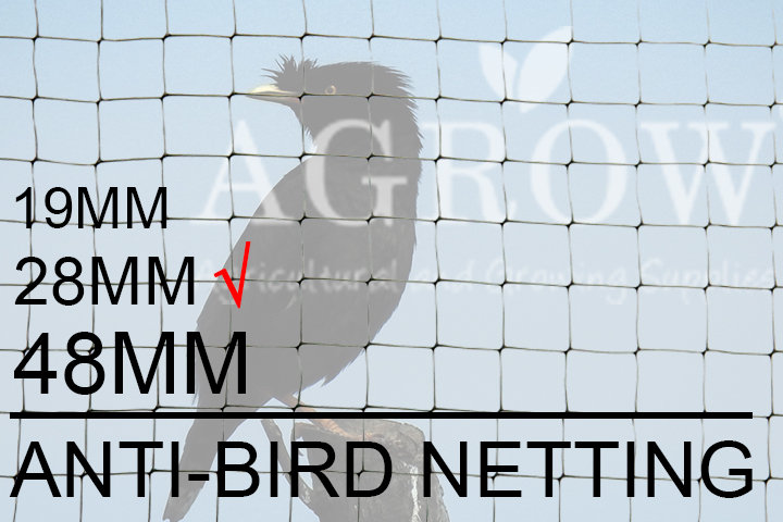 AGROW|Tips To Choose The Right Hole Size Of Anti-Bird Netting