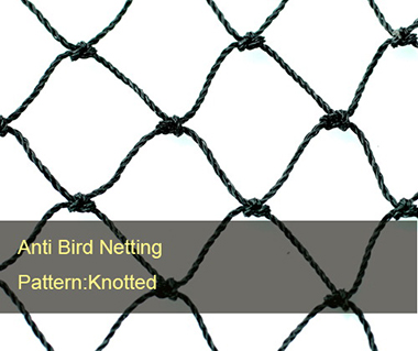 Different Types of Anti Bird Nets|AGROW