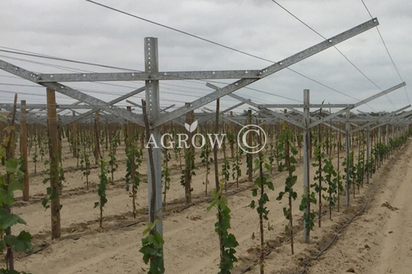 Quality Open Gable Trellises Central Crossarms Manufacturer and ...