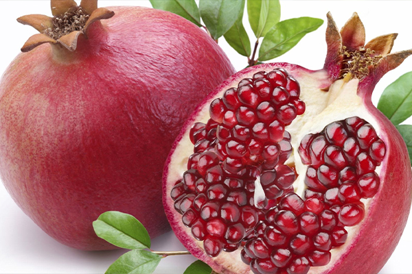 AGROW|Why Do Pomegranates Need To Be Bagged?