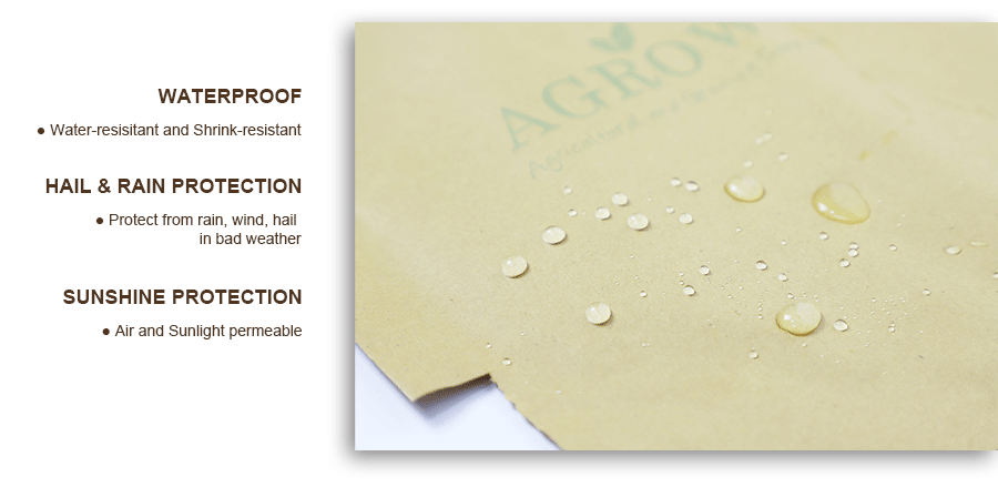 Quality Mango Growing Bag Manufacturer and Supplier from China | AGROW