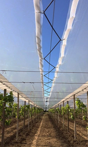 AGROW CHINA | Specialized in Vineyard Trellis Steels and Agriculture ...